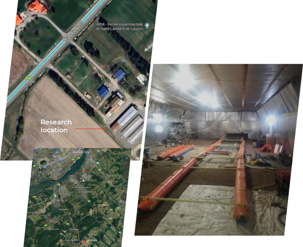 Overview - Argyle Resources