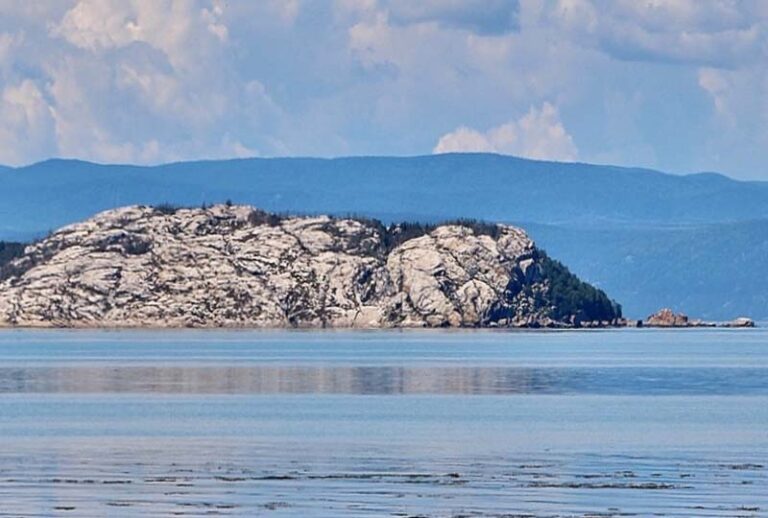 Overview - Argyle Resources